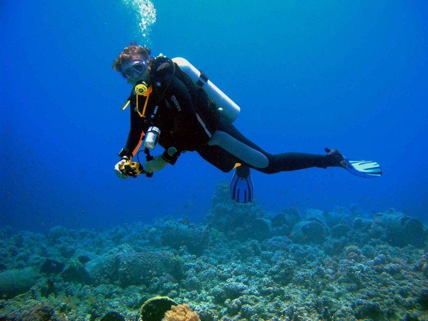 Kusadasi: Scuba Diving for Beginner or Experienced w/ Lunch - An Overview of the Tour Experience