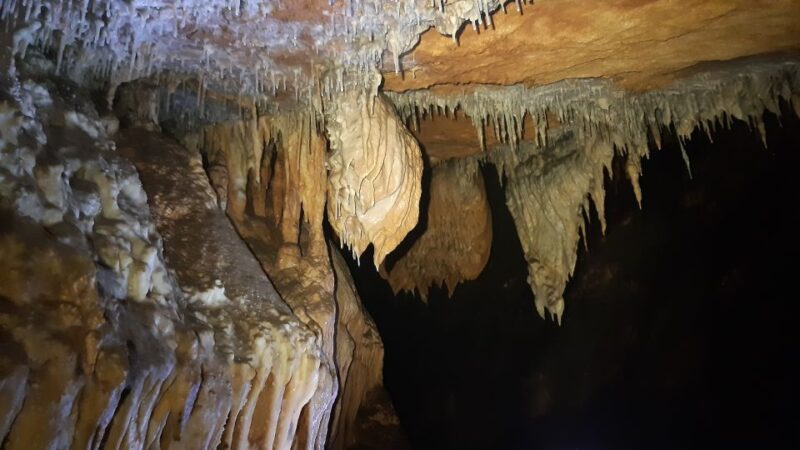 La Ciotat: Caving in Calanques National Park Half-Day Tour - Key Points