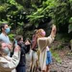 La Gomera: Garajonay National Park Entry Ticket and Tour - Analyzing the Value