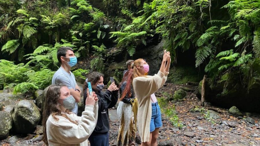 La Gomera: Garajonay National Park Entry Ticket and Tour - Analyzing the Value