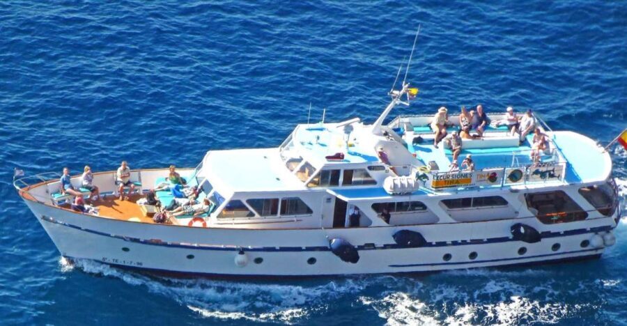 La Gomera: Whale Watching Tour on an Vintage Boat - Why This Tour Works for Different Travelers