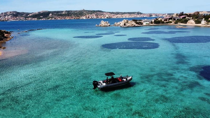 La Maddalena Archipelago: Private Trip by Zodiac (RIB) - The Authentic Appeal and Who It’s For