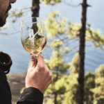 La Palma: Bodegas Teneguia Winery Tour with Wine Tasting - The Itinerary in Detail