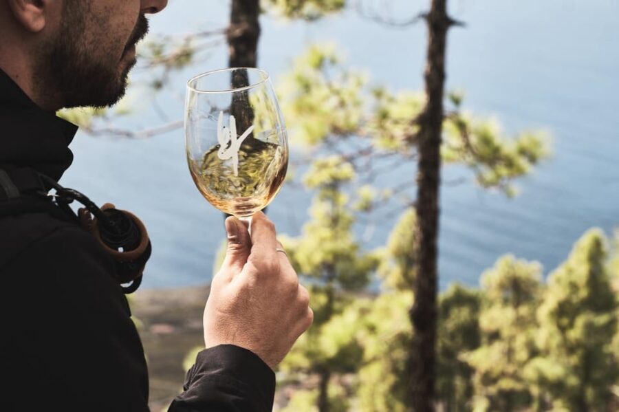 La Palma: Bodegas Teneguia Winery Tour with Wine Tasting - The Itinerary in Detail