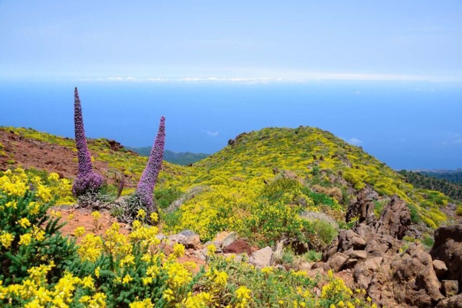 La Palma: Guided Trekking Tour to El Roque de los Muchachos - The Trail and Its Highlights
