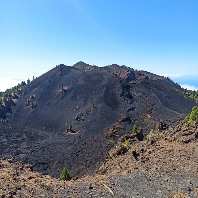 La Palma: Guided trekking tour to volcanoes south - Practical Details and What to Expect