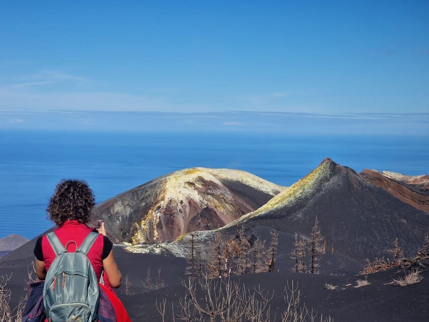La Palma: Tajogaite Volcano Guided Trek - Authentic Review Highlights from Past Participants