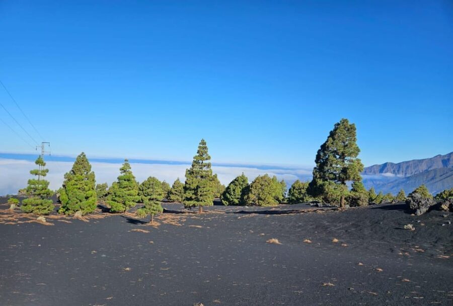 La Palma: Tour to the new Tajogaite volcano 360º. - Seeing the Volcano from Every Angle