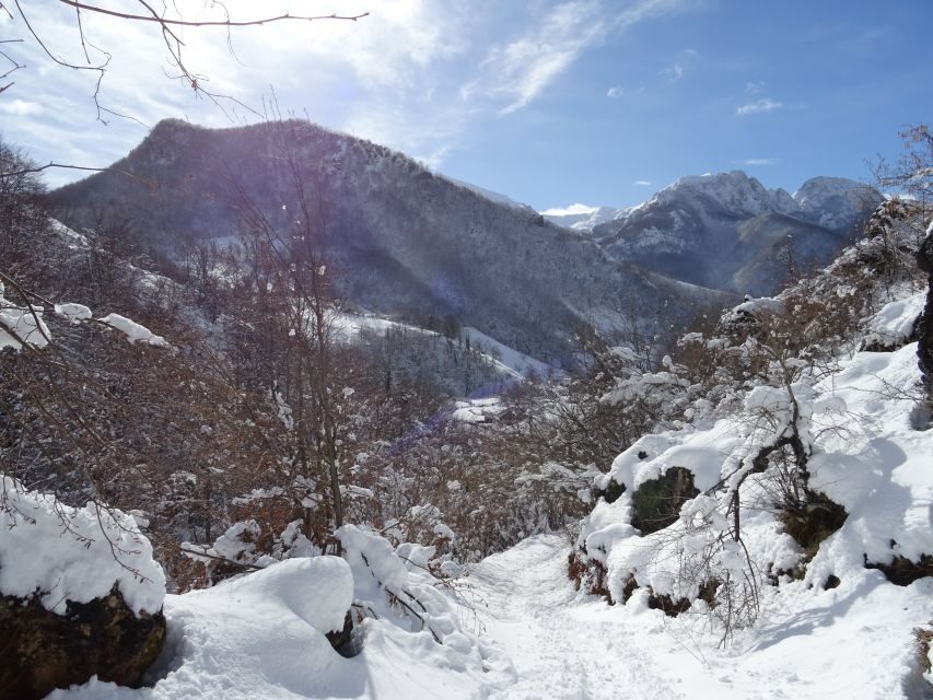 La Raya: Fuentes de Invierno Snowshoe Walk - Why Choose This Tour?