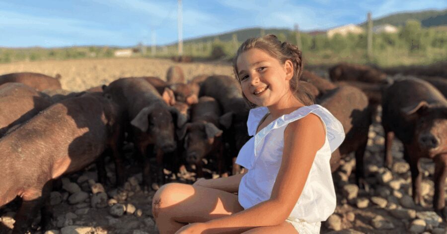 La Rioja: Jamon Iberico Farm Tour and Tasting with Wine - What the Tour Entails: A Detailed Breakdown