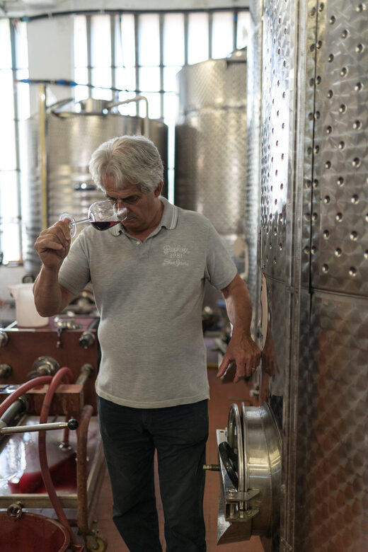 La Spezia: 4 Wines GOLD Degustation - Who Will Love This Tour?