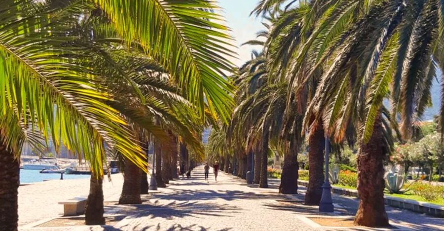La Spezia: Guided Walking Tour with Italian-Inspired Music - Key Points