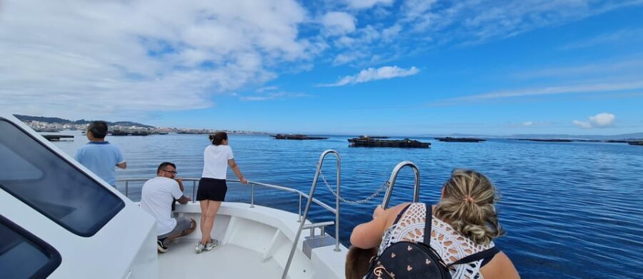 La Toja: Boat Tour at the Arousa estuary with mussel tasting - Who Will Love This Tour?