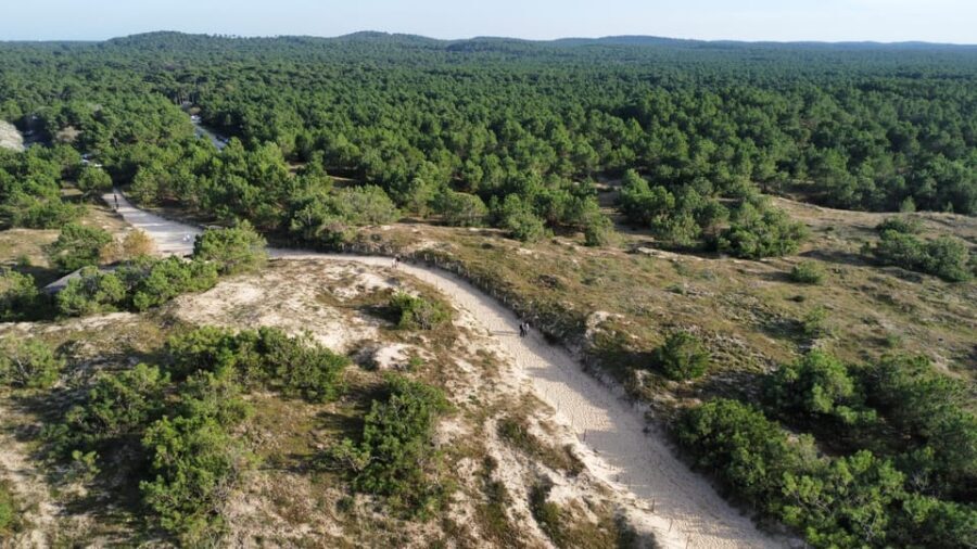 La Tremblade: Hiking in the Forêt Domaniale de la Coubre - The Itinerary: What to Expect on Your Walk