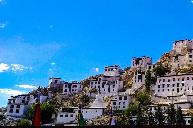 Ladakh Sham Valley Trek - Why Choose This Trek?