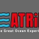 Lagos: Dolphin & Benagil Tour with Marine Biologist - What to Expect: A Detailed Look at the Tour