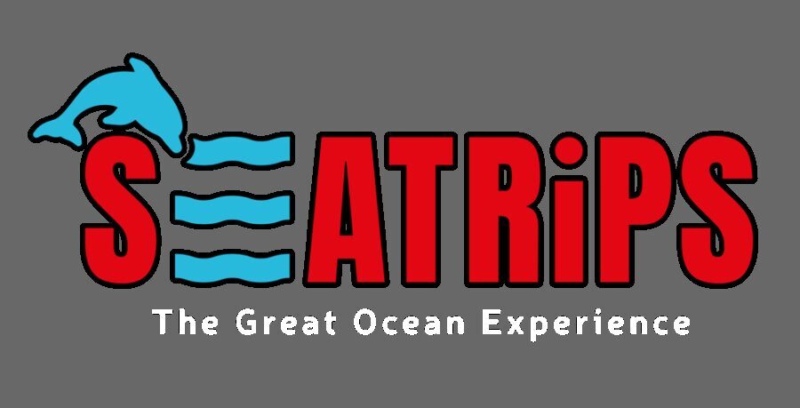 Lagos: Dolphin & Benagil Tour with Marine Biologist - What to Expect: A Detailed Look at the Tour
