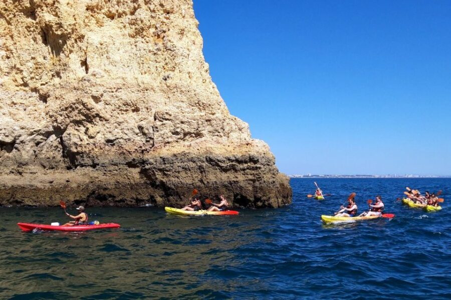 Lagos: Guided Kayak Tour - The Value and Why It’s Worth Considering
