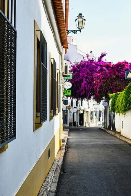 Lagos to Sagres Coastline & City Private Guided Tour - Analyzing the Value