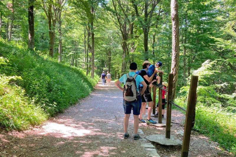 Lake Como: half-day hike in dolomitic mountains over Lecco - Key Points