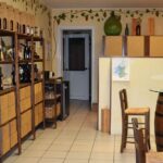 Lake Garda: Wine and Food Tastings in the Vineyards - The Sum Up