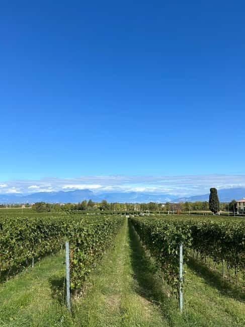 Lake Garda: Wine Tasting and Myths Tour with Local Snacks - Why You Should Consider This Tour