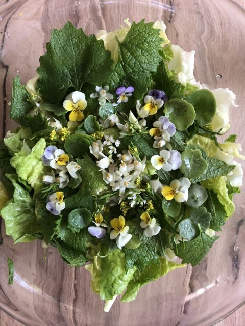 Lake Nemi: Herbs of the Moon Sensory Farm Visit - An In-Depth Look at the Experience