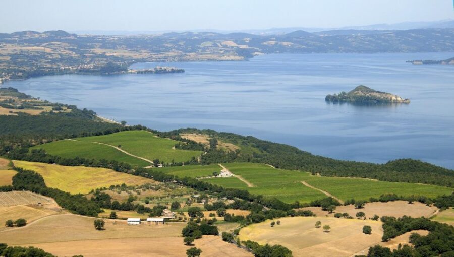 Lake of Bolsena: Private Cellar Tour and Wine Tasting - What You Can Expect: From Grape to Glass