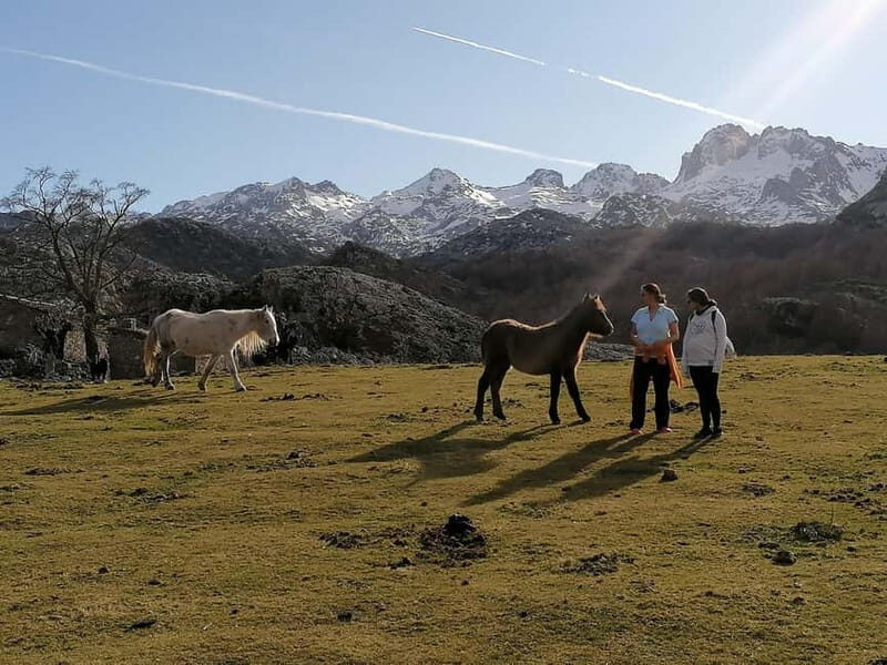 Lakes of Covadonga and Sanctuary of Covadonga: Guided and interpreted tour - The Itinerary: A Well-Structured Excursion