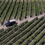 Lamego: Quinta da Portela de Baixo Winery Tour and Tasting - How the Tour Fits into Your Trip