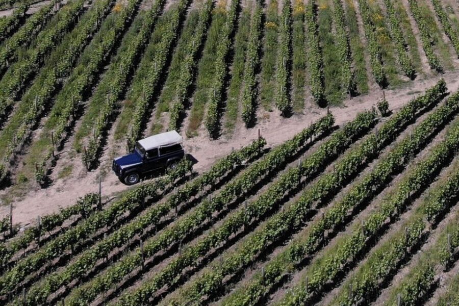 Lamego: Quinta da Portela de Baixo Winery Tour and Tasting - How the Tour Fits into Your Trip