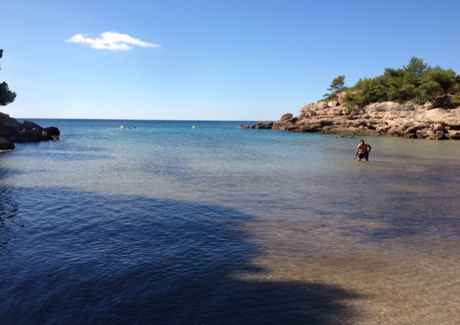 L'Ametlla de Mar: Sea diving with instructor - Who Should Consider This Tour?