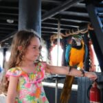 Lampedusa: Pirate Ship Boat Tour with Lunch and Music - The Value of This Tour