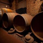 Langhe & Monferrato: Vineyard Tour and Wine Tasting - Why This Tour Works Well