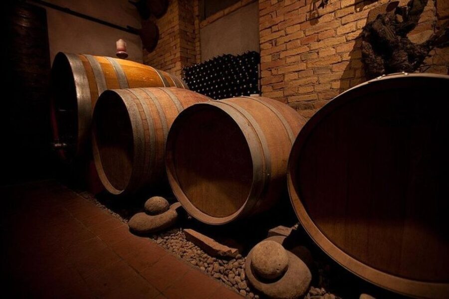Langhe & Monferrato: Vineyard Tour and Wine Tasting - Why This Tour Works Well