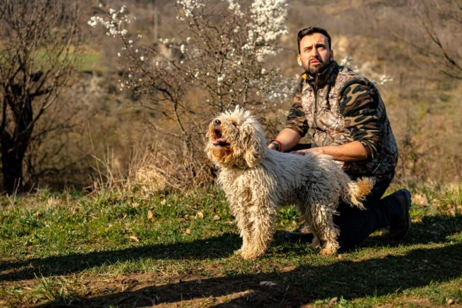 Langhe: Sunset Truffle Hunting with Tasting and Wine - Introduction: Authentic, Accessible, and Delicious