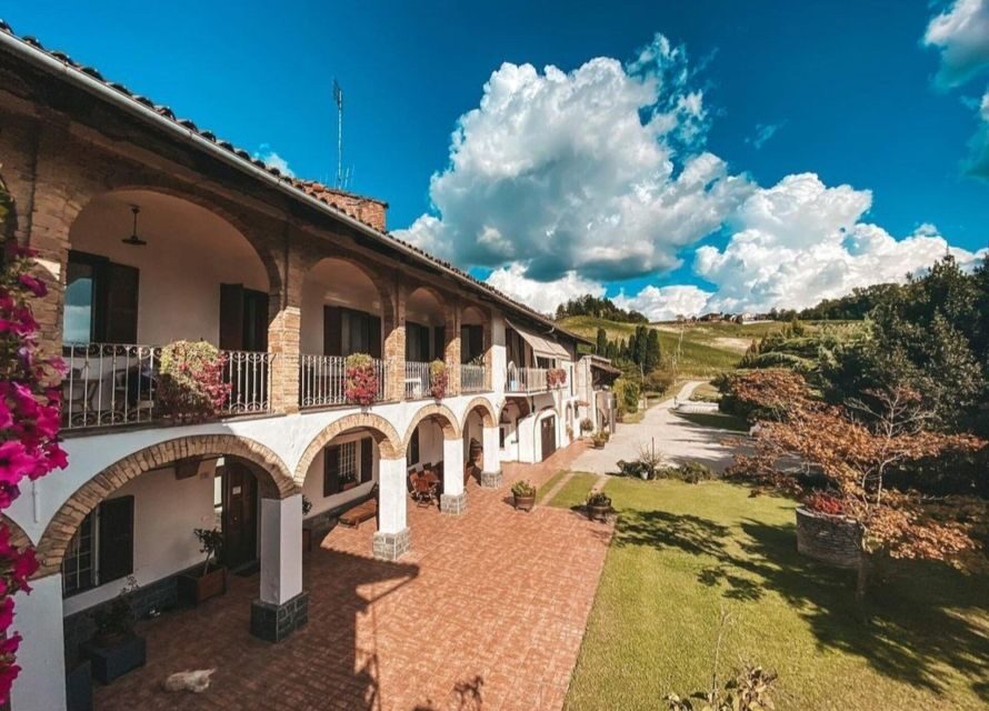 Langhe: Wine and Food Tasting Experience - What to Expect During the Tour