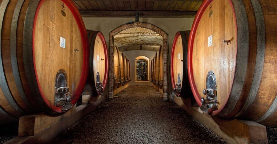 Langhe: Winery Tour and Wine Tasting - Who Will Get the Most from This Tour?