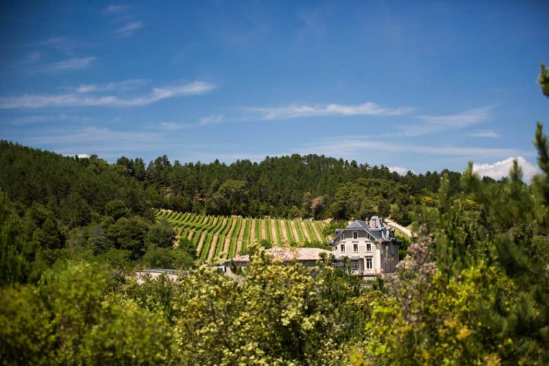 Languedoc: Heritage Tour & Tasting at Domaine de Baronarques - Introduction