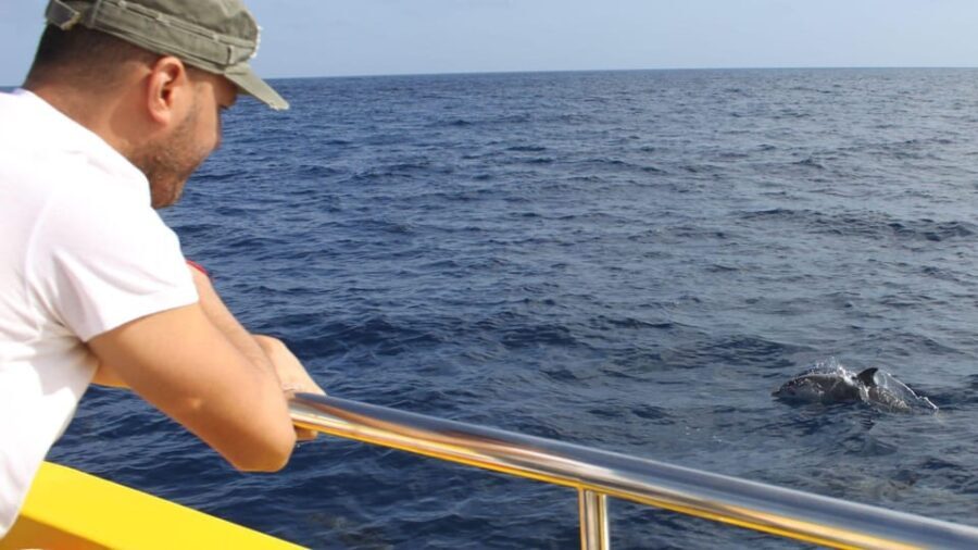 Lanzarote: 2.5-Hour Sunset and Dolphins Cruise - A Balanced Look at the Itinerary