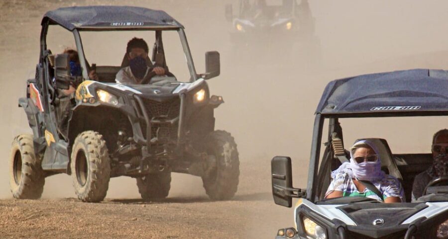 Lanzarote: 3 Hour Buggy Tour with views of the Volcano Park - The Value of This Experience