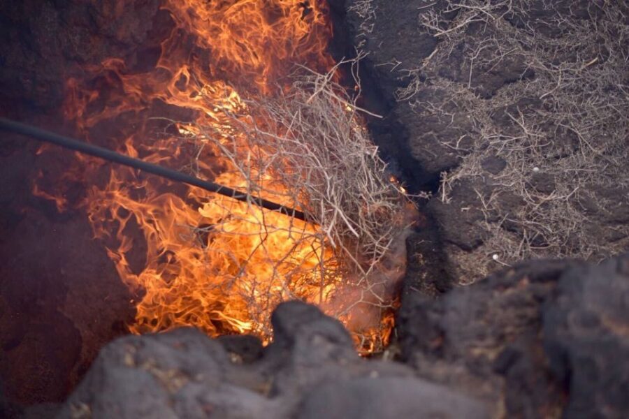 Lanzarote: 5-Hour Timanfaya National Park Southern Tour - Exploring Lanzarote’s Volcanic Majesty