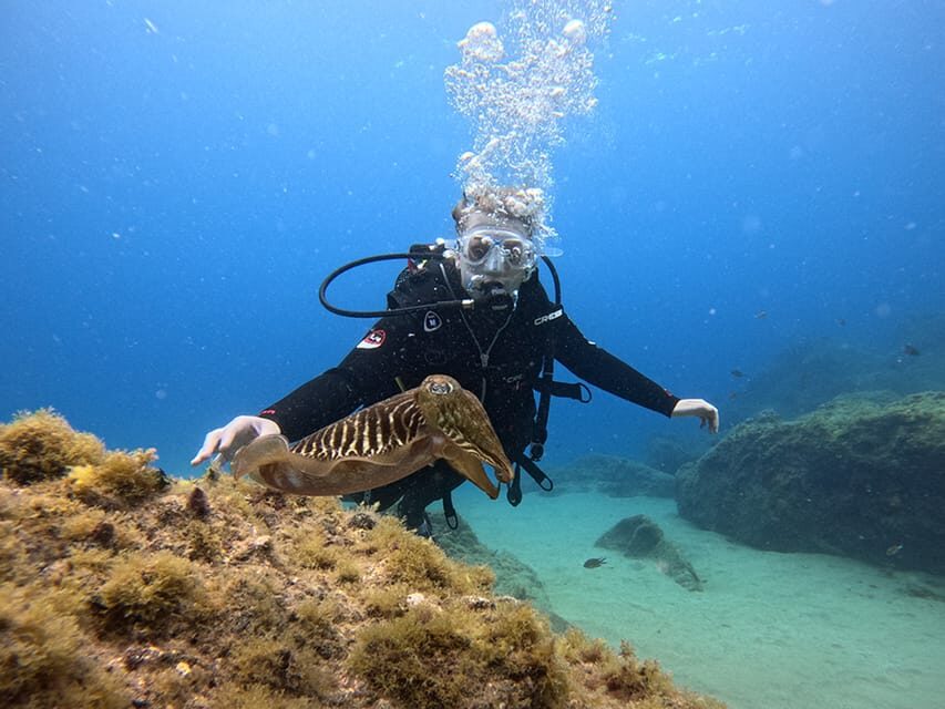 Lanzarote: Intro to Diving Experience for Beginners - Practical Details and What to Expect