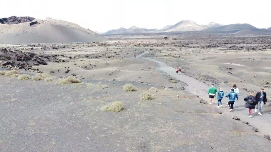 Lanzarote: On-Road Guided Buggy Volcano Tour - Who Will Love This Tour?