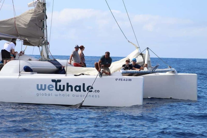 Lanzarote Sunset Experience with dolphin spotting - What Travelers Love Most
