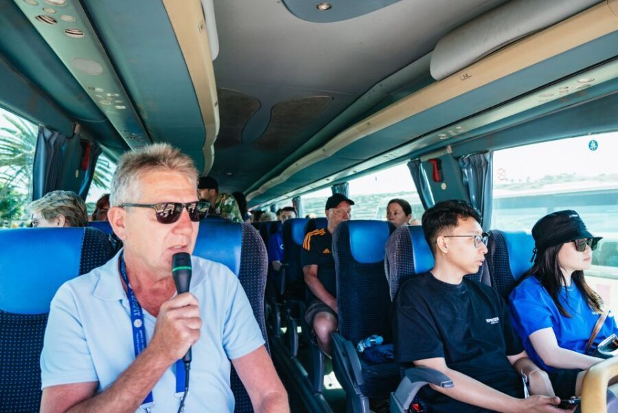Lanzarote: Timanfaya National Park & La Geria Tour - What Travelers Are Saying