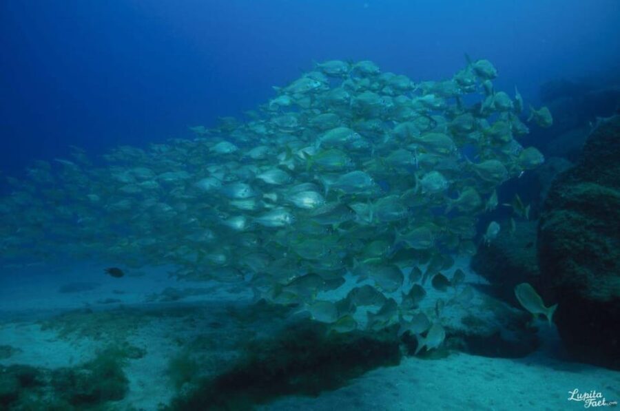 Lanzarote: Try Scuba Diving Experience - The Practicalities