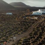 Lanzarote: Vineyard Tour with Wine and Chocolate Tasting - The Practicalities: What to Know Before You Go