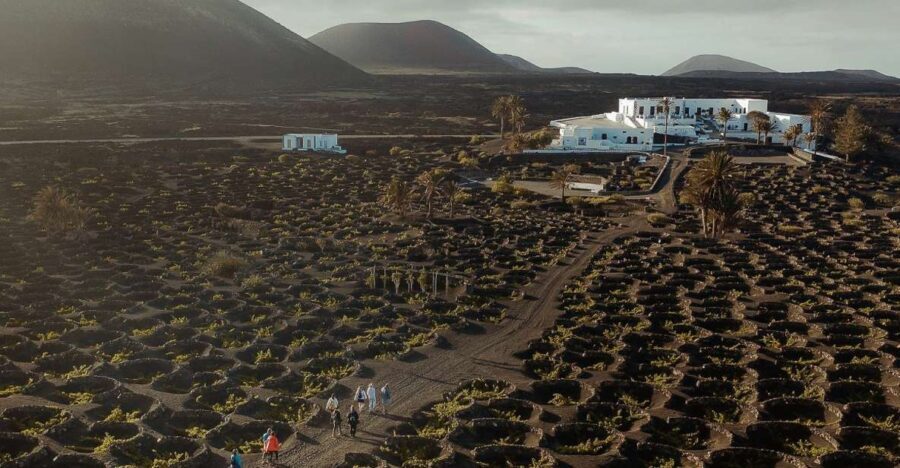 Lanzarote: Vineyard Tour with Wine and Chocolate Tasting - The Practicalities: What to Know Before You Go