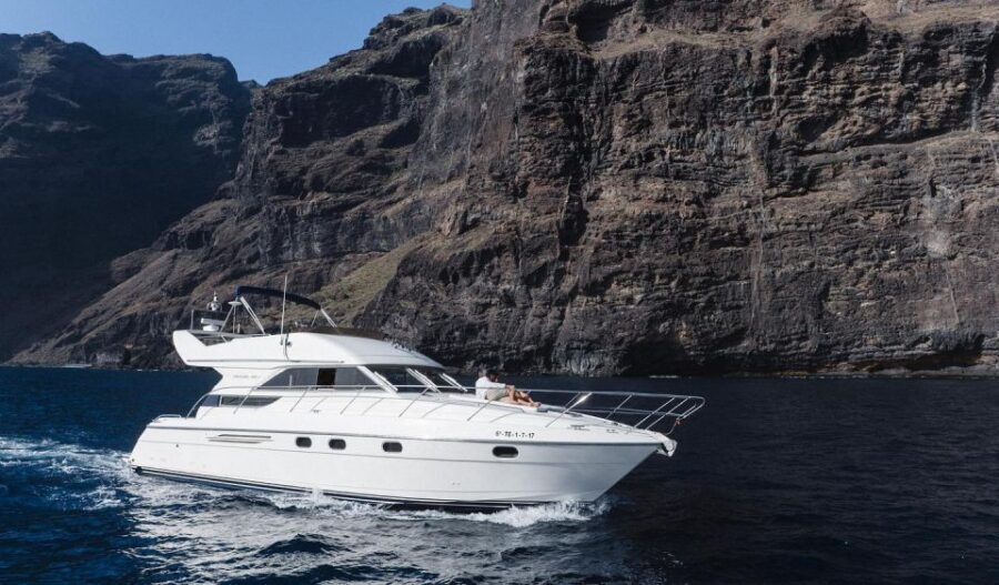 Las Galletas: Private Luxury Yacht Cruise with Lunch - Whats Included & What to Consider